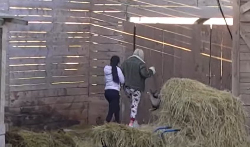 MOLILA DA JE PUSTE, PA NASRTALA NA VRATA! Nataša Radan želi da napusti ...