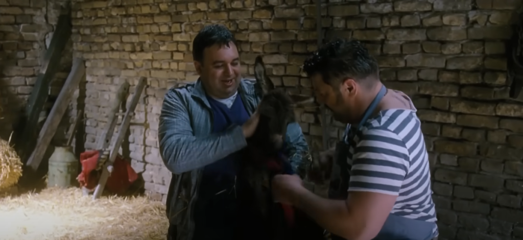 Nemcima je ovaj srpski film omiljen! Evo zašto je "Parada" osvojila srca publike u Berlinu ...